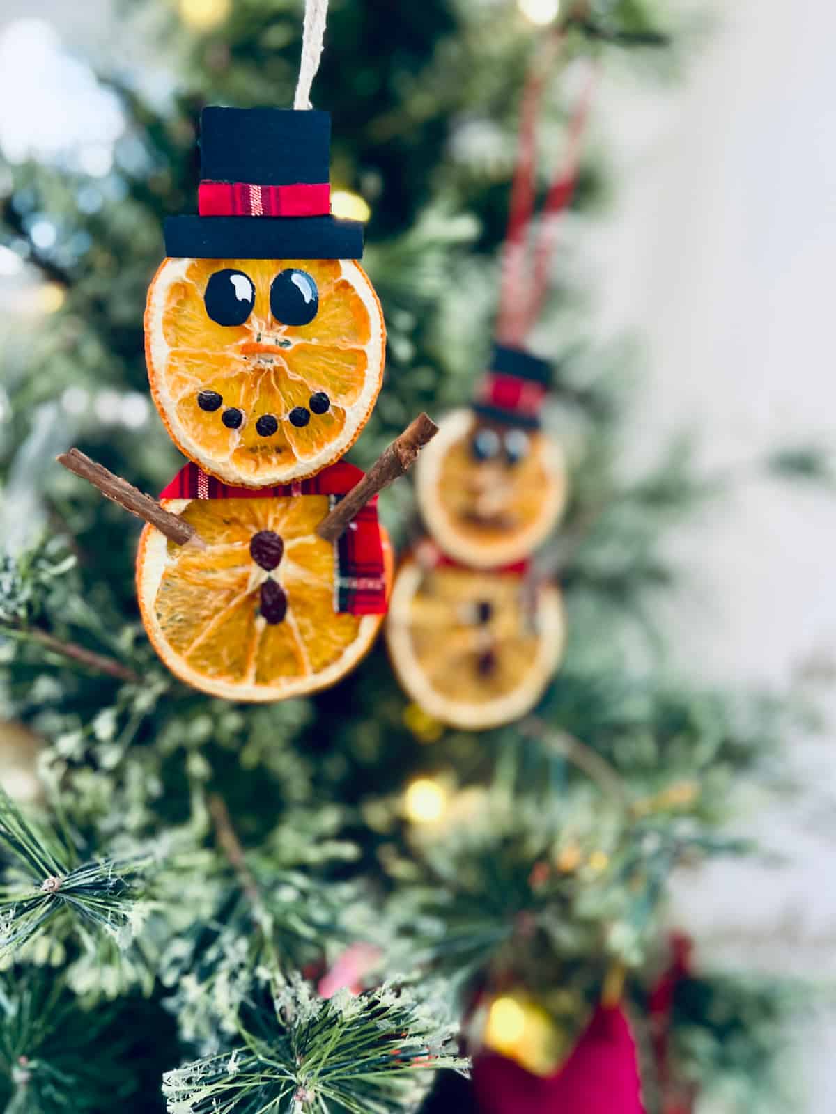 How To Make Dehydrated Oranges Slices For Decorations – Tea and Forget ...