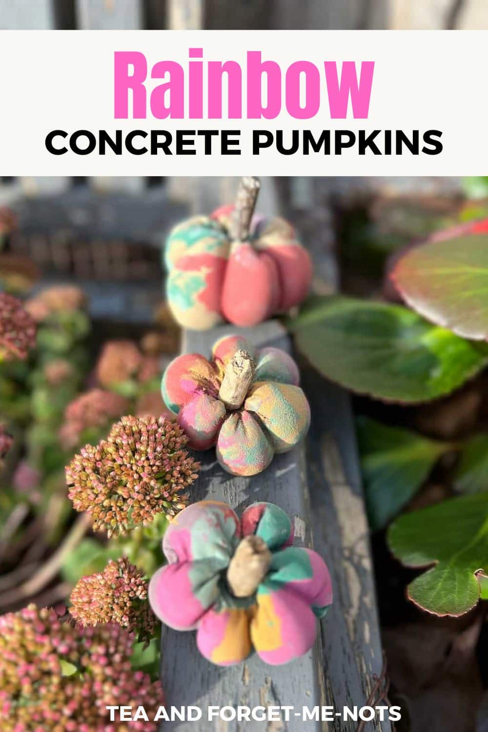 How To Make Cute Rainbow Concrete Pumpkin DIY Decor – Tea and Forget-me ...